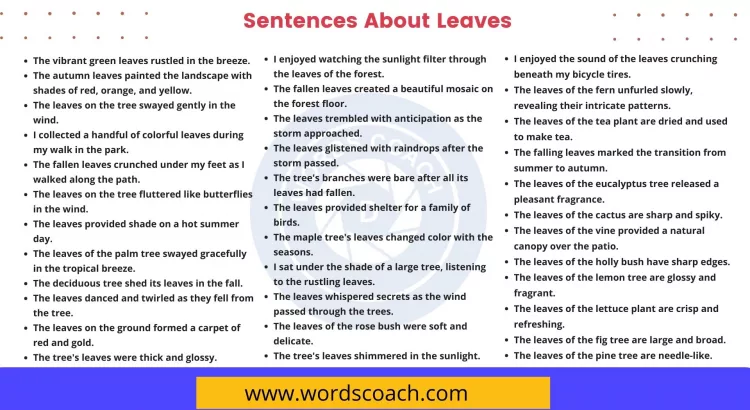 50 Sentences About Leaves Word Coach